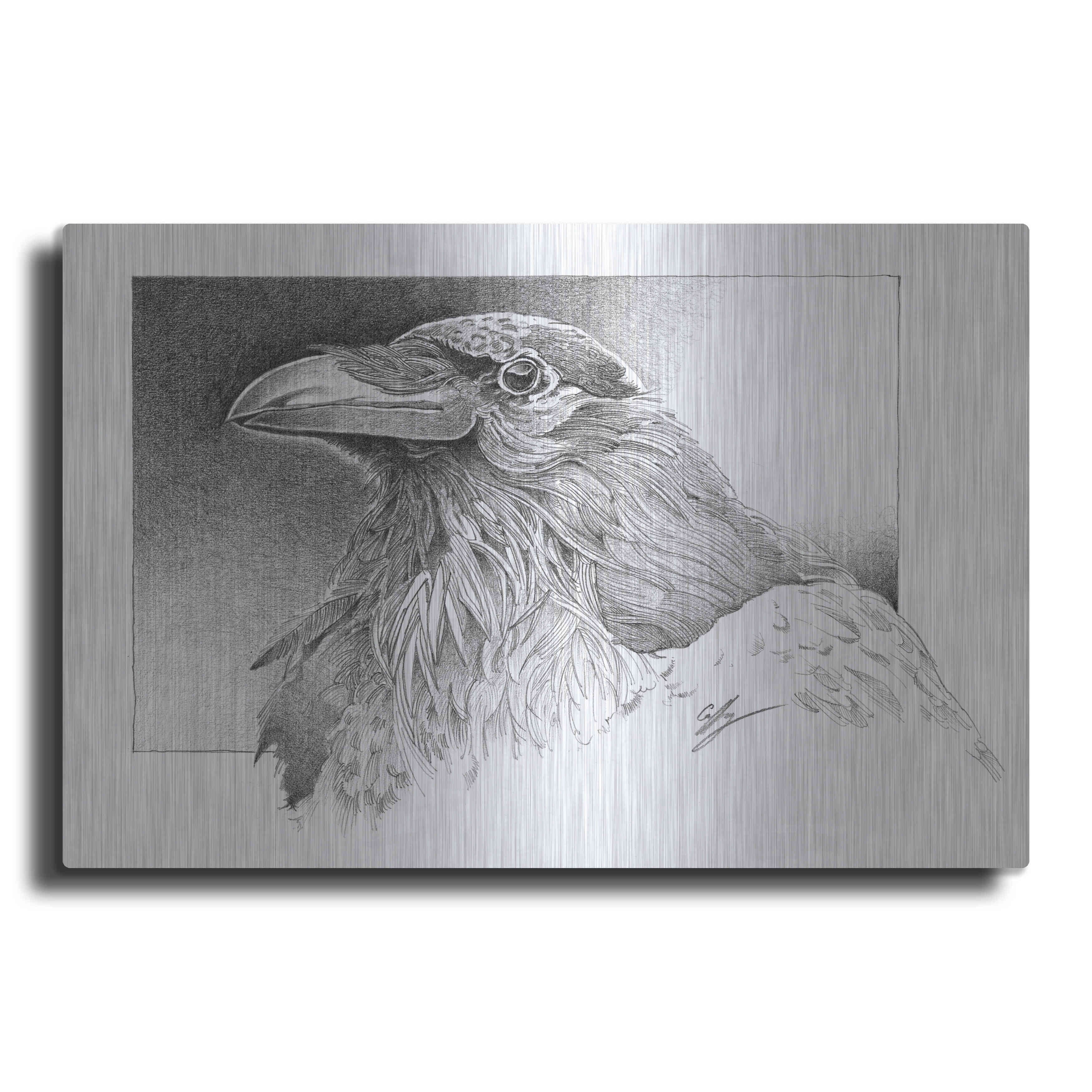 Luxe Metal Art 'Ravens Head' by Durwood Coffey, Metal Wall Art, 24"x16 ...