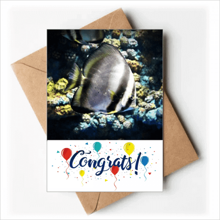 Ocean Fish Science Nature Picture Wedding Cards Congratulations ...