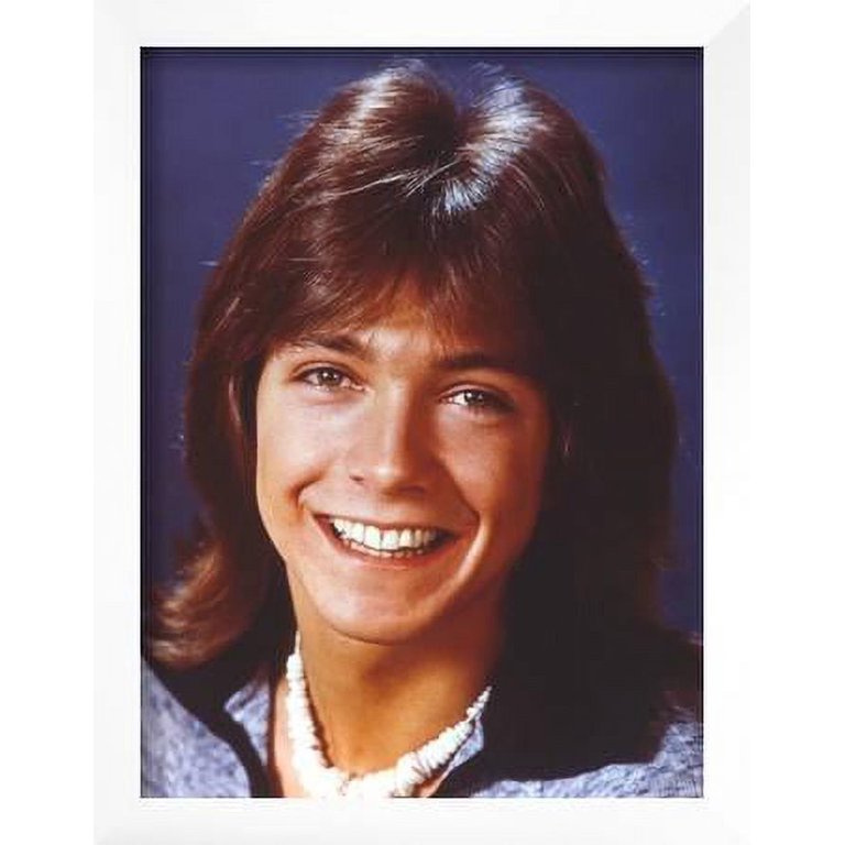 David Cassidy Poster
