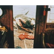 Jaws Susan Backline 24x36 Classic Hollywood Poster - Walmart.com