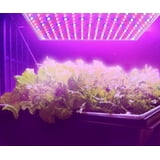 HQRP 14W 225 LED Blue + Red Spectrum Hydroponic Plant Grow Light Panel ...