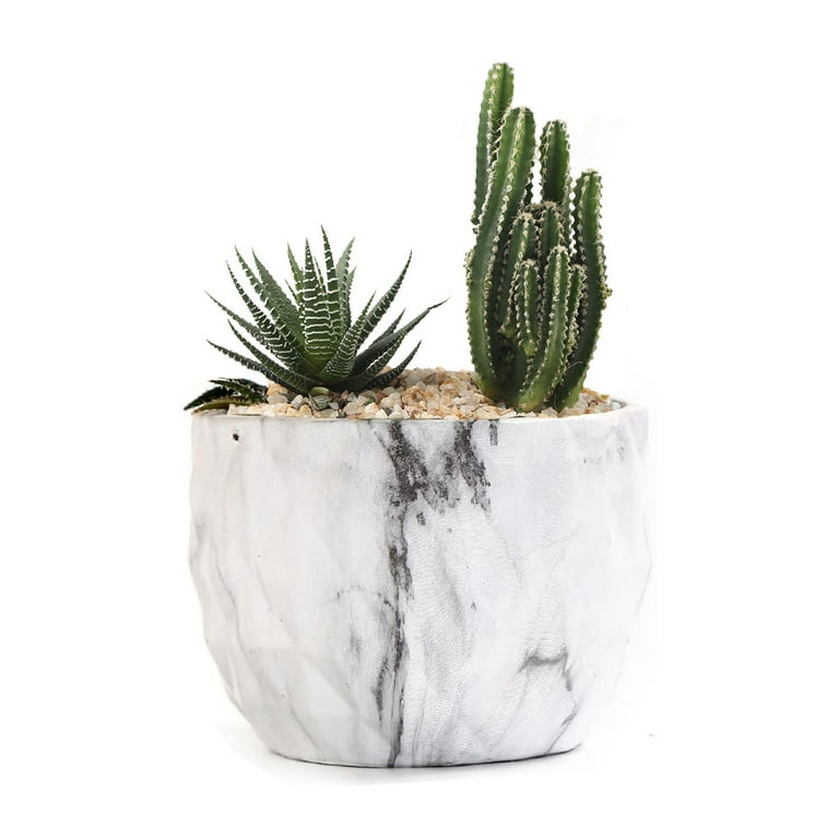 Cactus Planters Pottery 4/5/6 Pots Set Ceramic Clay Pottery Pots