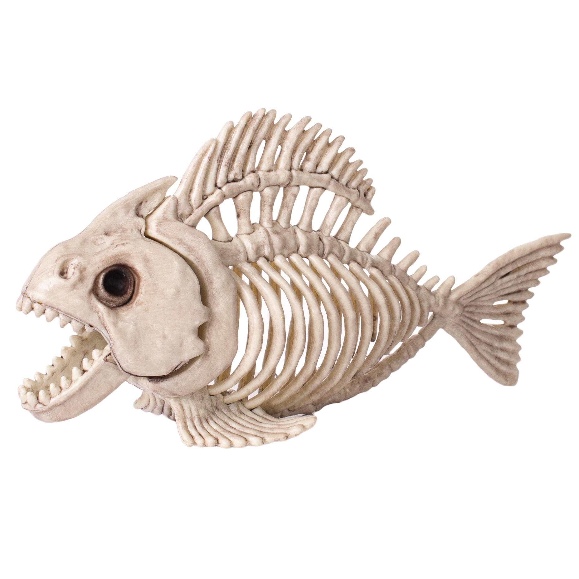 Horror Killer Piranha Fish Skeleton Halloween 10" Decoration Prop ...