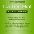 Equate Beauty Moisturizing Nourishing Daily Conditioner with Tea Tree ...