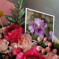 3drose, Washington State. Fuzzy-horned Bumblebee and Rhododendron ...