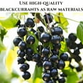 Dehydrated Dried Blackcurrants - Large-sized MDA05 Black currants, No ...