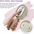 2026 New Electric Steam Brush, Rechargeable Hair Straightener Brush ...