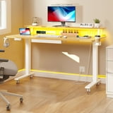 Dextrus Electric Height Adjustable Standing Desk with LED Light & Power ...