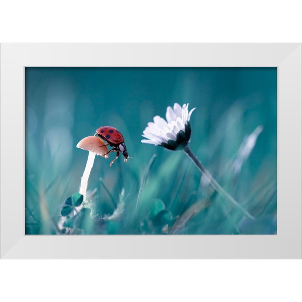 Bravin, Fabien 32x23 White Modern Wood Framed Museum Art Print Titled ...