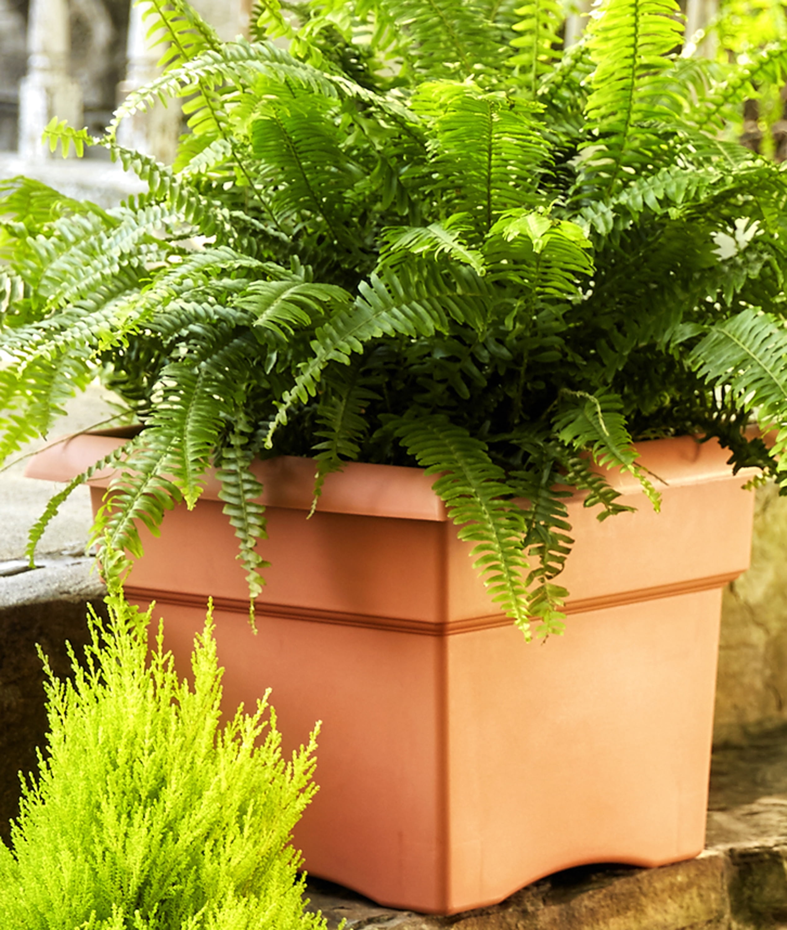 Bloem 14"x14" Veranda Deck Box Square Planter Terracotta: Resin ...