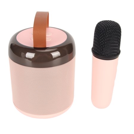 Small Family Karaoke, Portable BT Speaker, Home Karaoke Small Size Dual ...