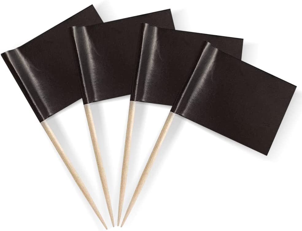 Blank Toothpick Flags Labeling Marking Flag Small Mini Stick Flags for ...