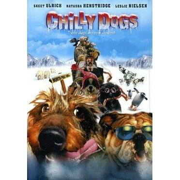 The Truth About Cats & Dogs (DVD, 2001) NEW - Walmart.com