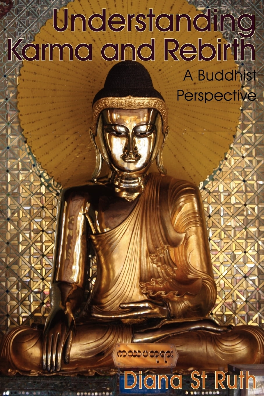 Understanding Karma and Rebirth : A Buddhist Perspective (Paperback ...