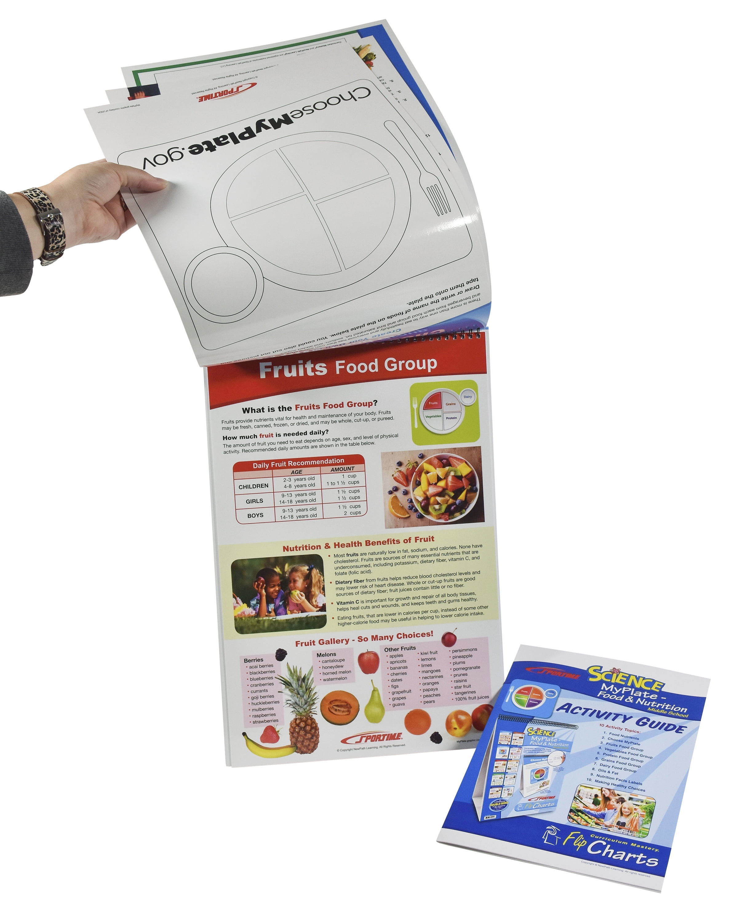 MyPlate An Overview ScienceDirect Topics, 43% OFF