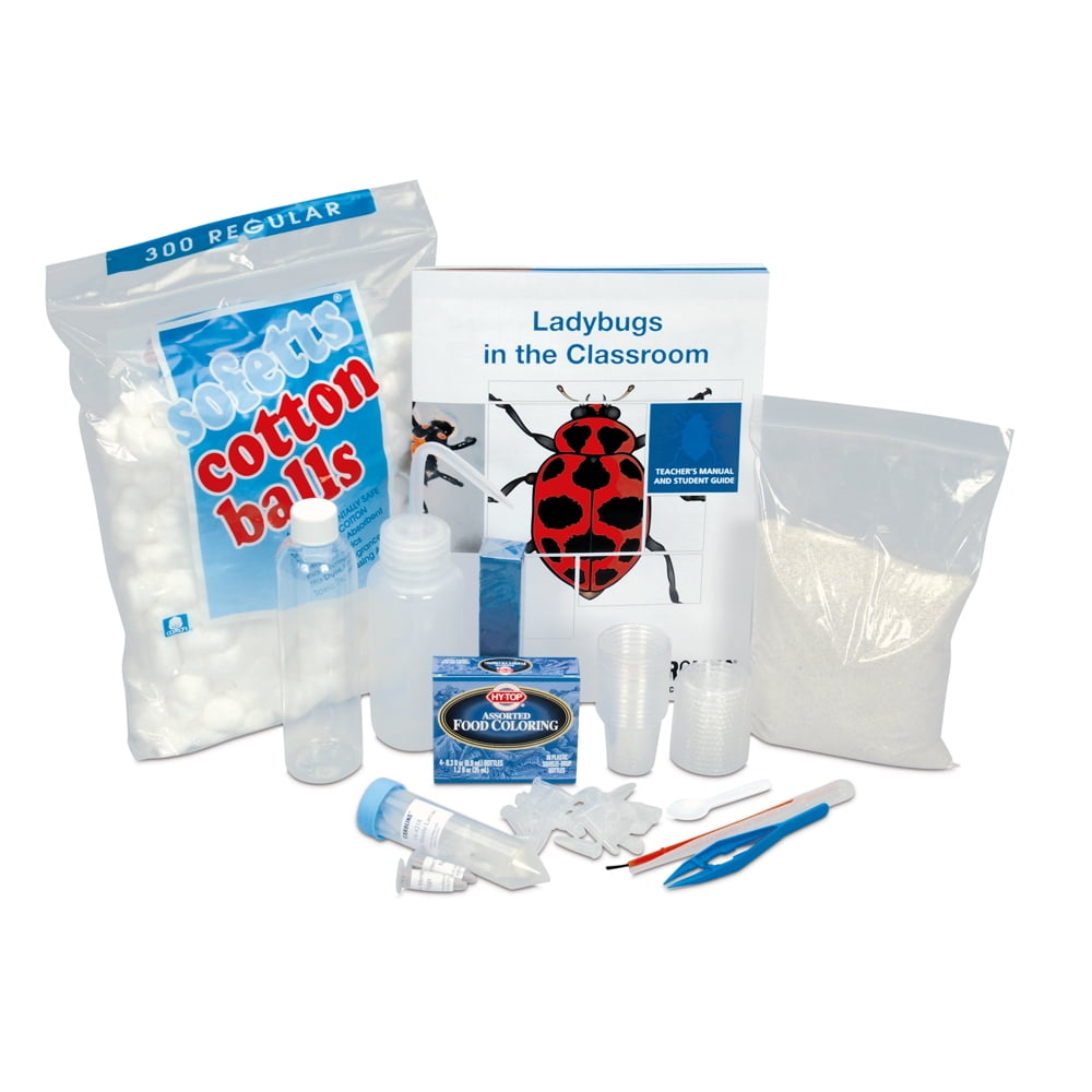 Ladybugs In The Classroom Demo Kit (With Voucher) - Walmart.com