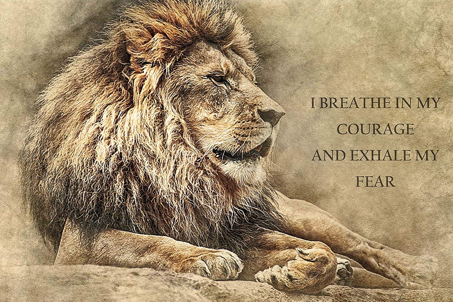 Lion Quotes Courage