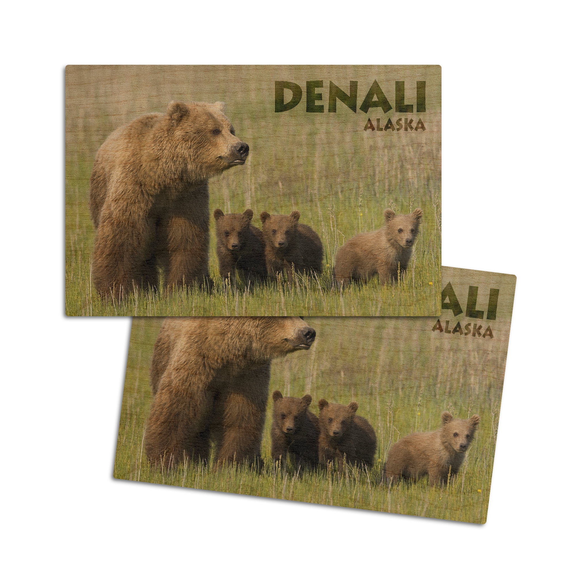 Denali, Alaska, Grizzly Bear and Cubs (4x6 Birch Wood Postcards, 2-Pack Stationary, Rustic Home ...
