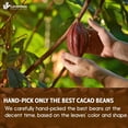 Lavendium, 25oz (1.56 lbs) Cacao Powder, 100% Natural & Pure ...