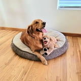LotFancy 21 in Lifelike Golden Retriever Plush Toy, Realistic Puppy ...