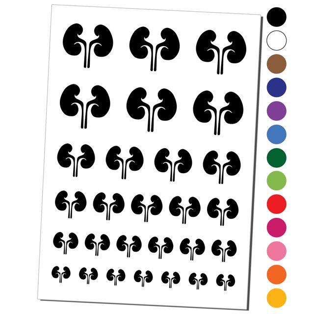 Kidneys Organs Anatomy Body Part Water Resistant Temporary Tattoo Set ...