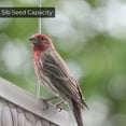Infinity Bird Feeder - Wild Bird Feeder with 360 Degree View of Feeding ...