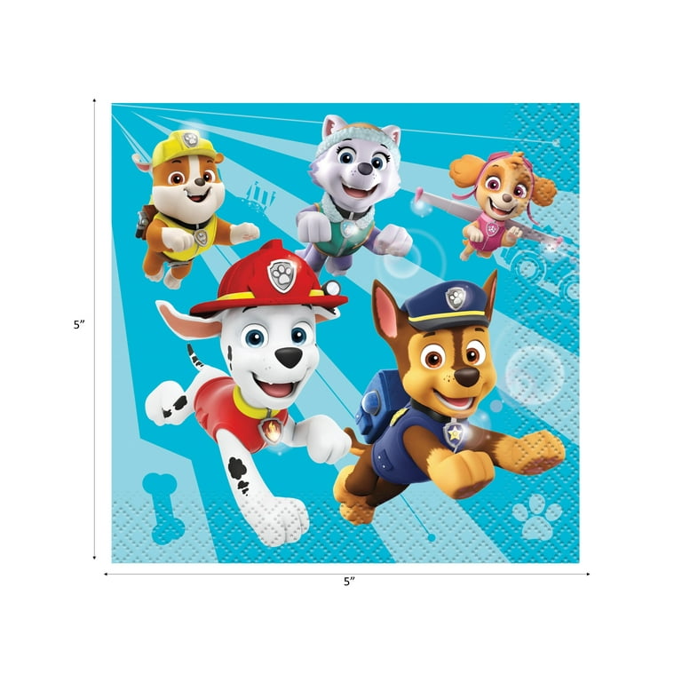 Paw Patrol Party Supplies Walmart