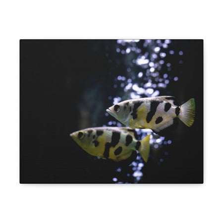 Funny Archer Fish Silly Archer Fish Couple Wall Art Ready to Hang ...