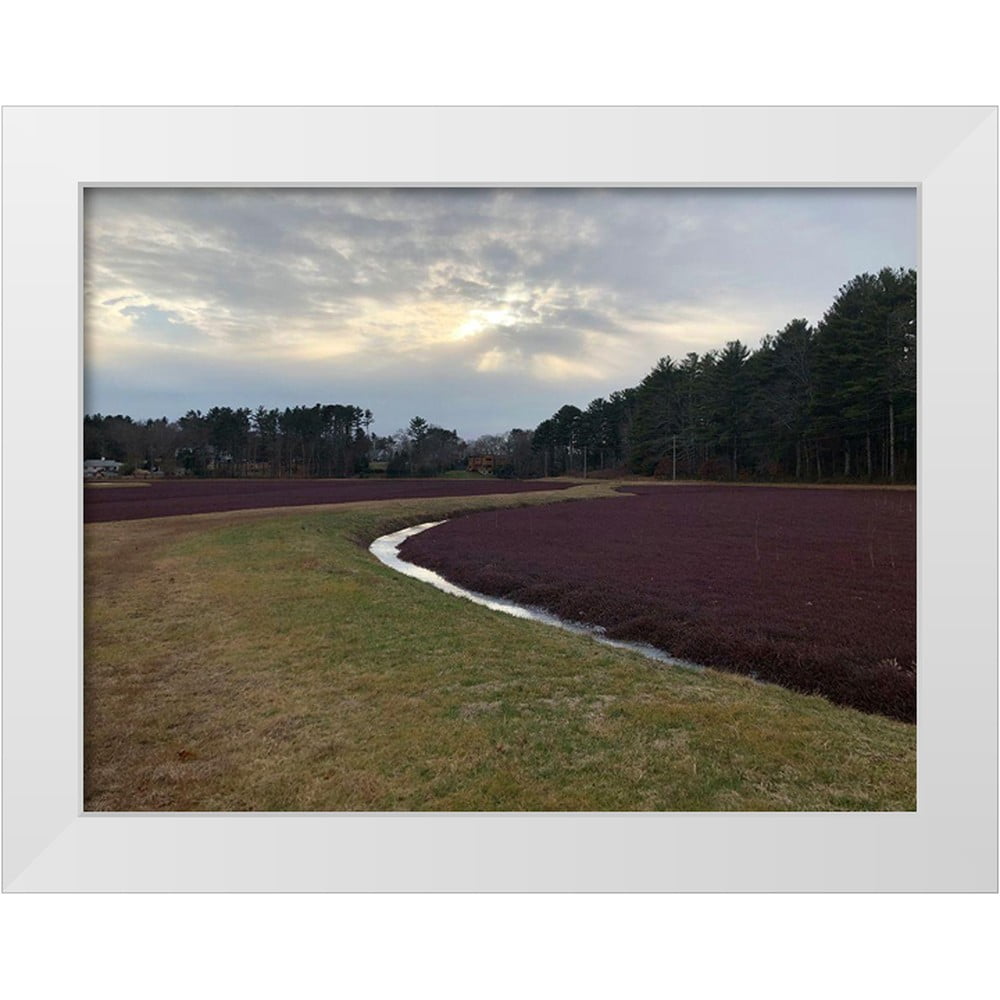 Melanson, Suzanne 24x19 White Modern Wood Framed Museum Art Print ...