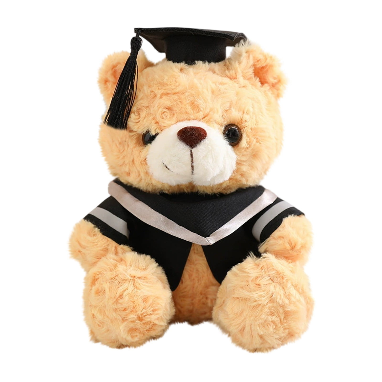 Personalized Graduation Teddy Bear 2025 – Custom Gift for Girls & Boys ...