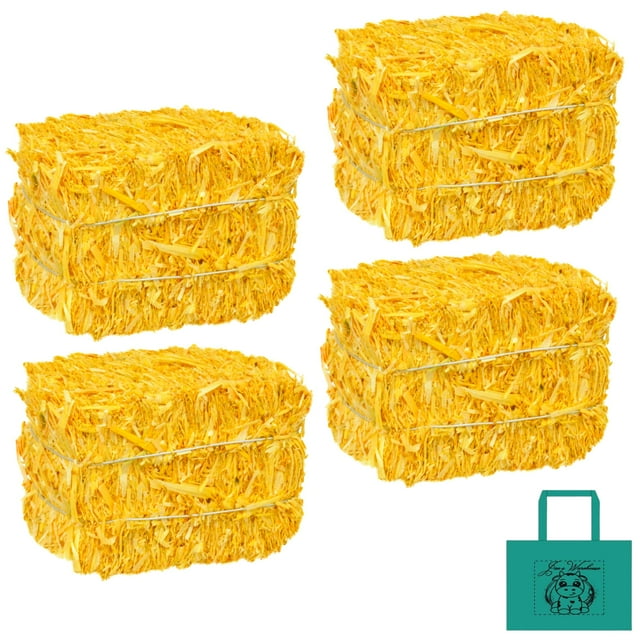 Jae's Warehouse Autumn Accents Mini Straw Bales Set, 2.5x3.5x2.5-in DIY ...
