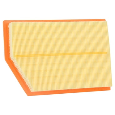 Fleetguard AF27879 Air Filter Element, Fits 2010-2017 Freightliner ...