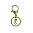 10 Sets Large Lobster Clasp Clip Key With Split and Chains - Walmart.com