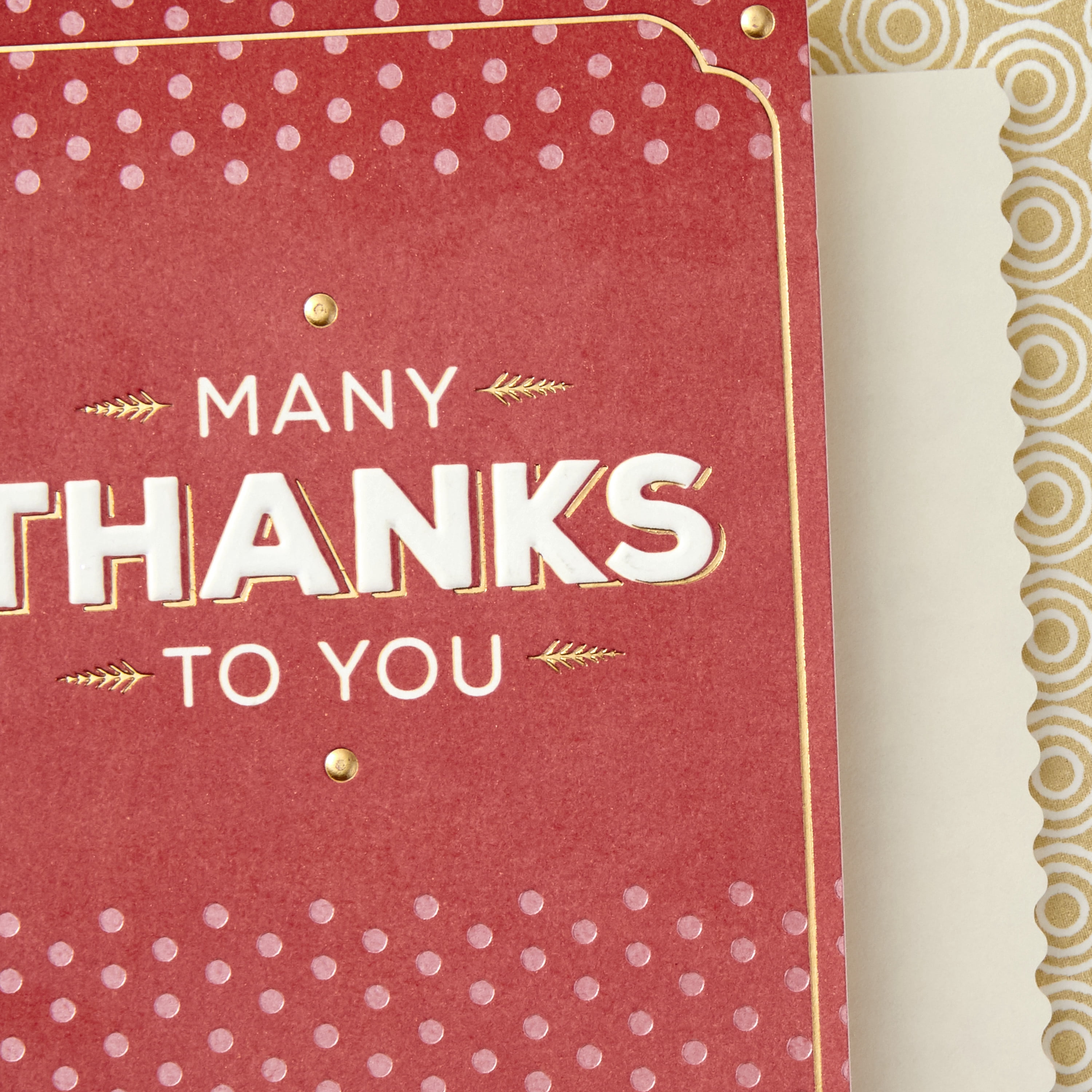 Hallmark Thank You, Nurse’s Day or Teacher Appreciation Card (You’re ...