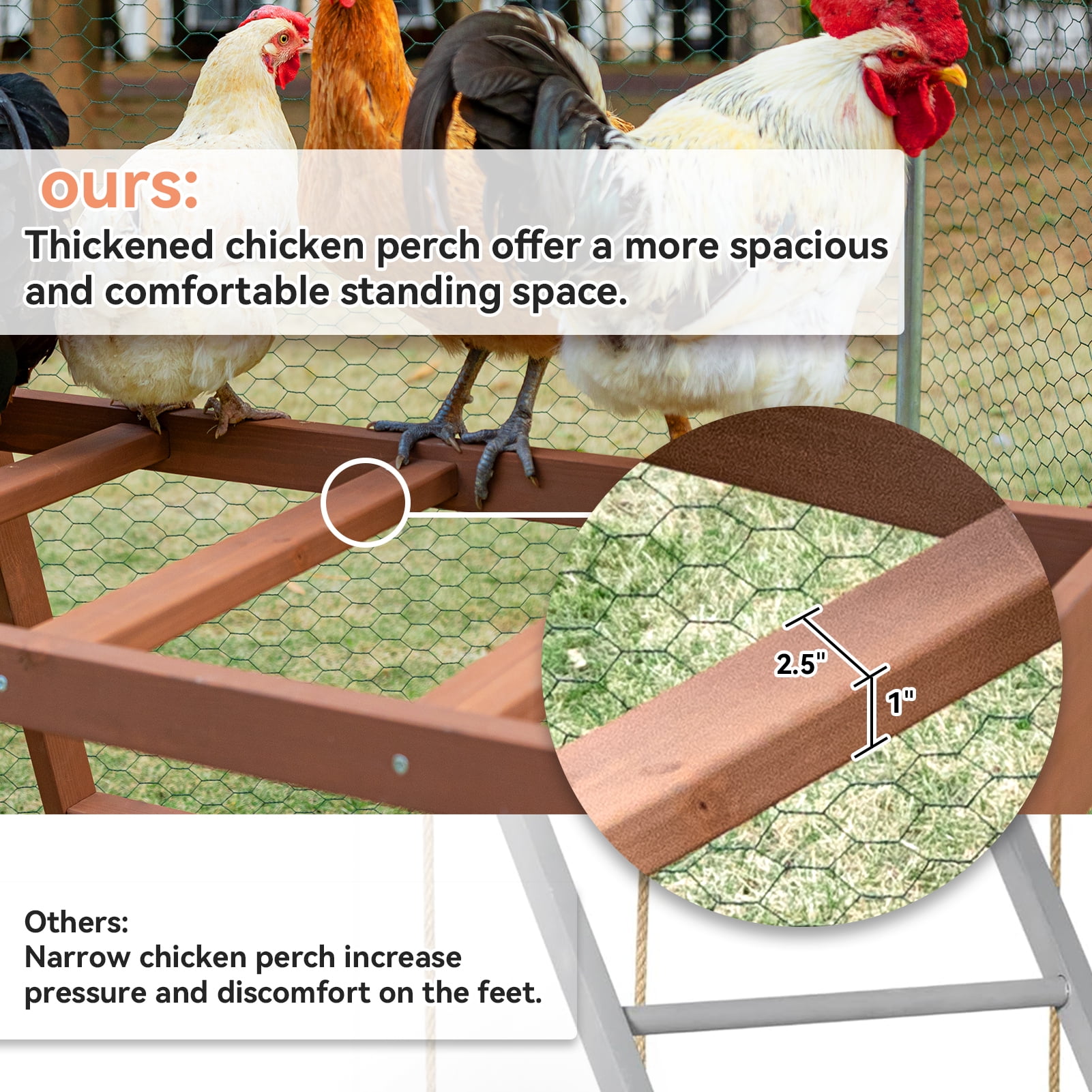Chicken Run Accessories With Swing Set,Chicken Ladder Coop Toys,Chicken ...