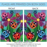 Toland Home Garden Colorful Ladybirds And Ladybugs Flower Ladybug Flag ...