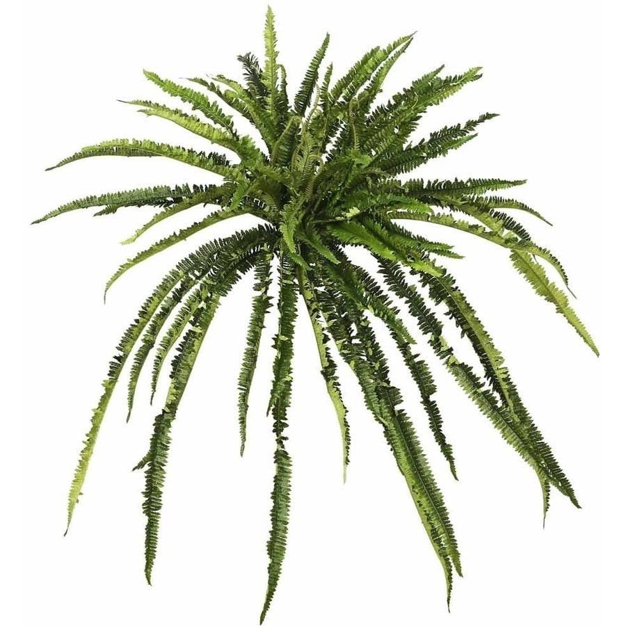 Vickerman 27" Artificial Green Boston Fern Bush Featuring 80 Fronds ...