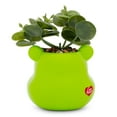 Care Bears Good Luck Bear 5-Inch Ceramic Mini Planter With Artificial Succulent - Walmart.com