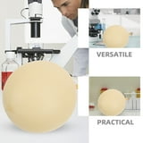 GOOHOCHY 4pcs Sampling Gas Bladder Labs Balloon Bladder Balloon ...