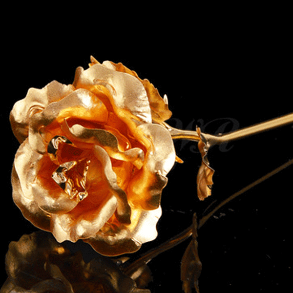 F.S. 24K Forever Gold Rose | Walmart Canada