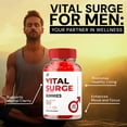 Vital Surge Gummies For Men – VitalSurge Apple Cider Vinegar 1000MG, 60 ...