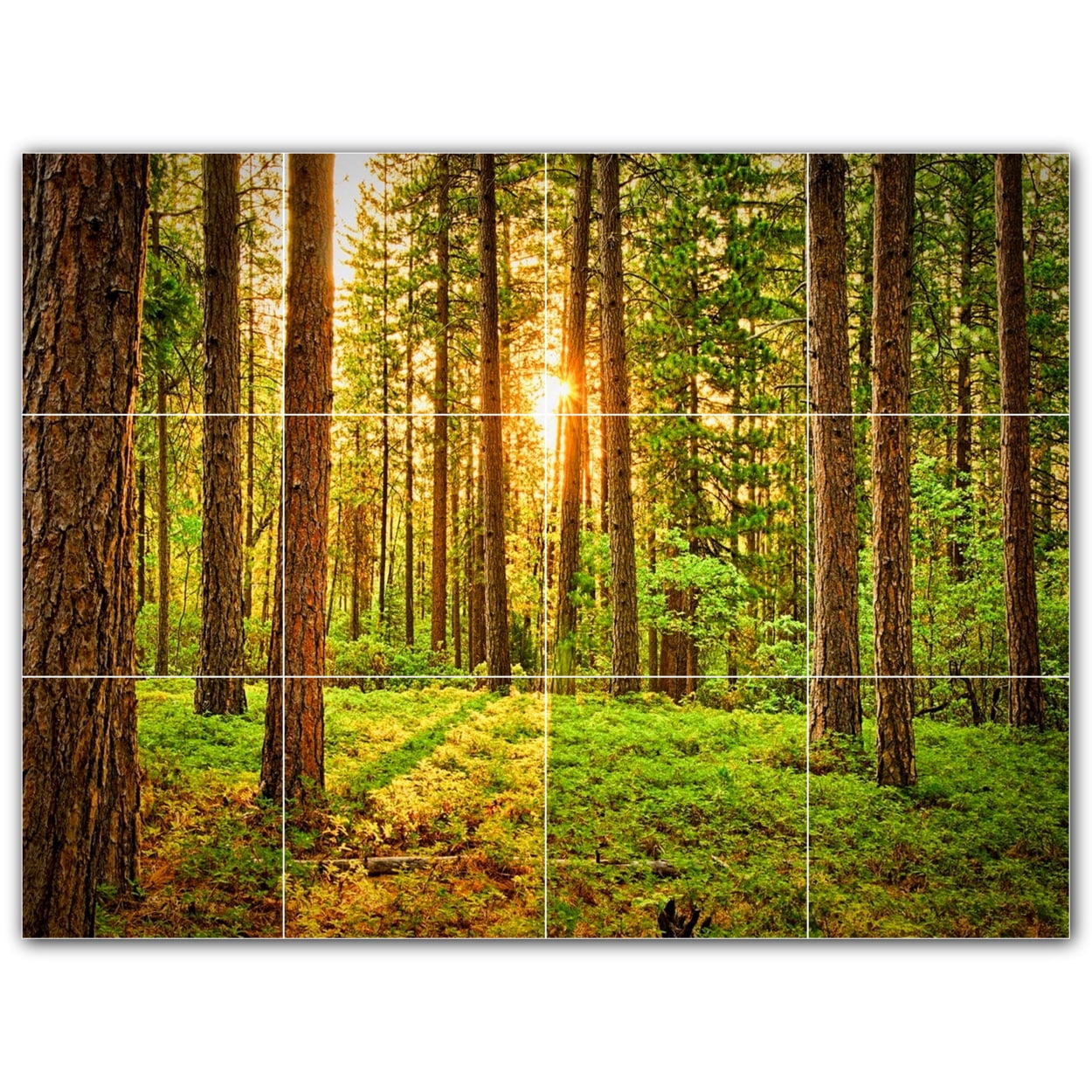 Picture-Tiles.com: Trees Ceramic Tile Wall Mural WAL501041-43M. 24"W x ...