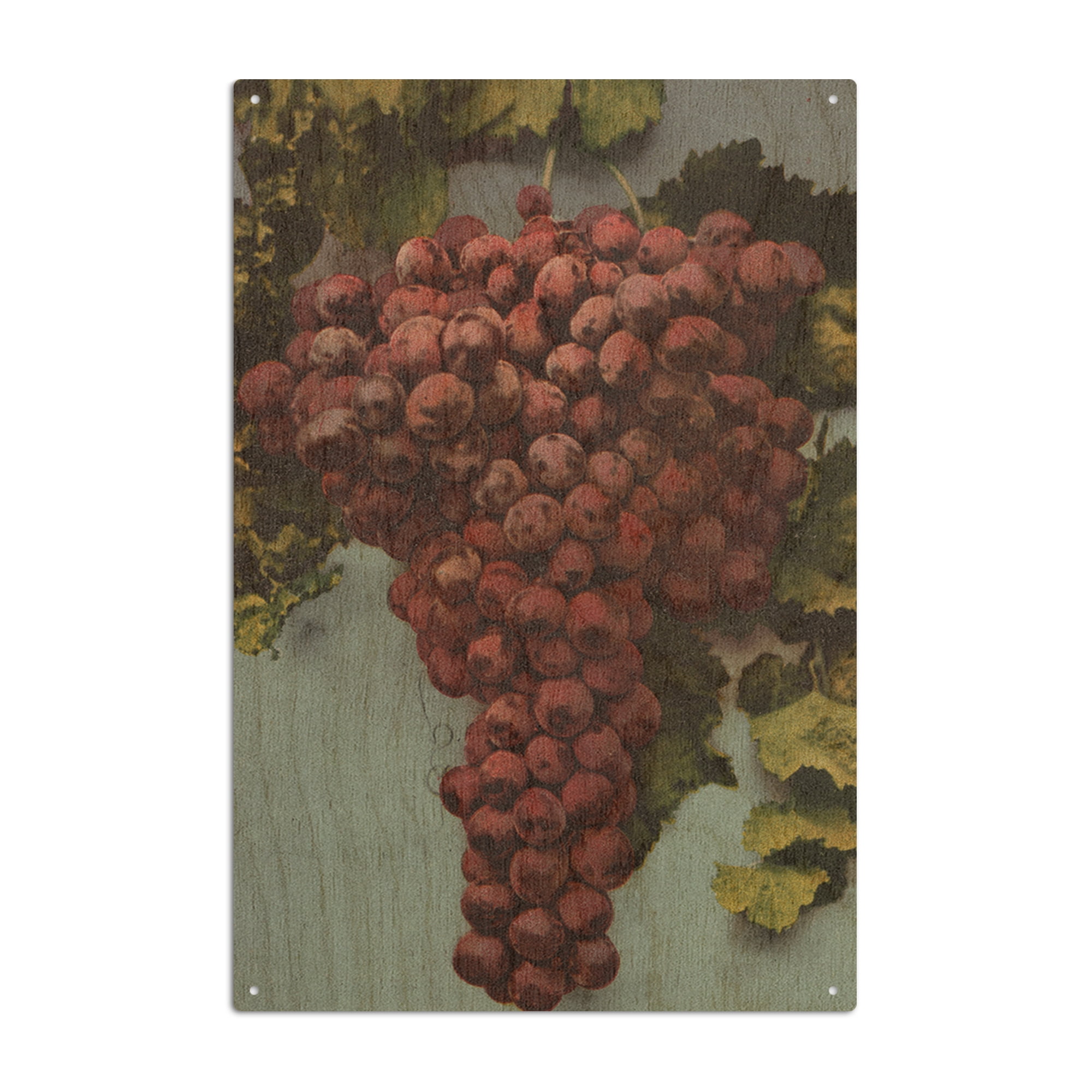Fruit Chromo Lithograph of Grapes Birch Wood Wall Sign (6x9 Rustic Home ...
