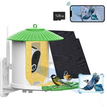 Birdkiss Smart Bird Feeder with Camera, Metal Squirrel Proof Bird ...