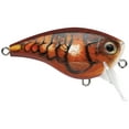 Rapala BX Big Brat Crankbait, Hard Flash, Square Bill, 2-3/4", 3/4oz ...