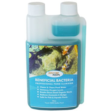 Beckett 1000 Gallon Barley Straw Bales Natural Filtration For Clean ...