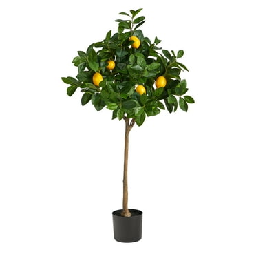 Nearly Natural 5' Tall Branch Minimalist Citrus Artificial Tree ...