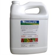 Zylam Liquid Systemic Insecticide - 1 Quart - Walmart.com
