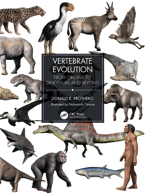 Vertebrate Evolution : From Origins to Dinosaurs and Beyond (Hardcover ...