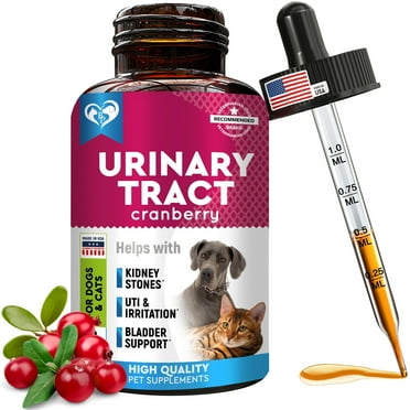 Dog UTI Treatment 180 Chews w Cranberry, Natural UTI Medicine for Dogs ...
